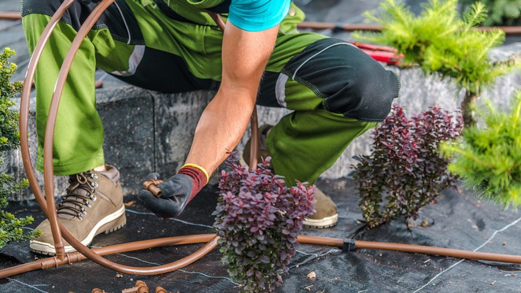 Precision Flow Drip System Installation Mastery – Aperto